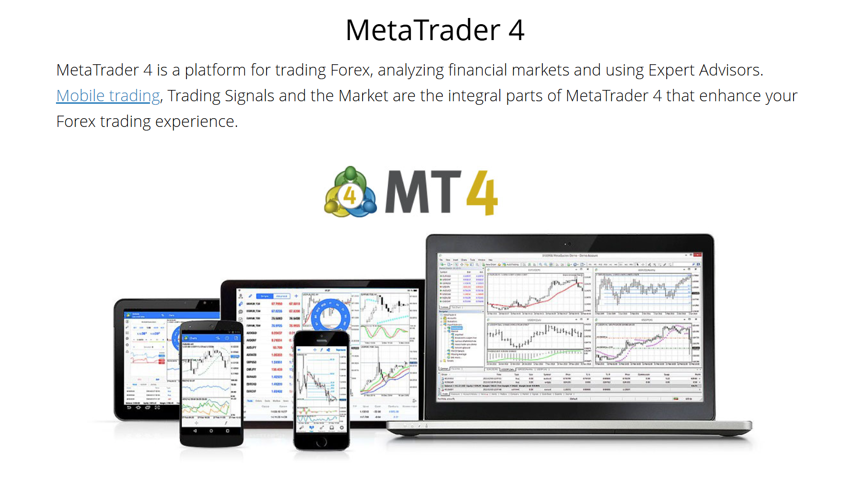 How to Open a Real Account on MetaTrader 4 - Guide